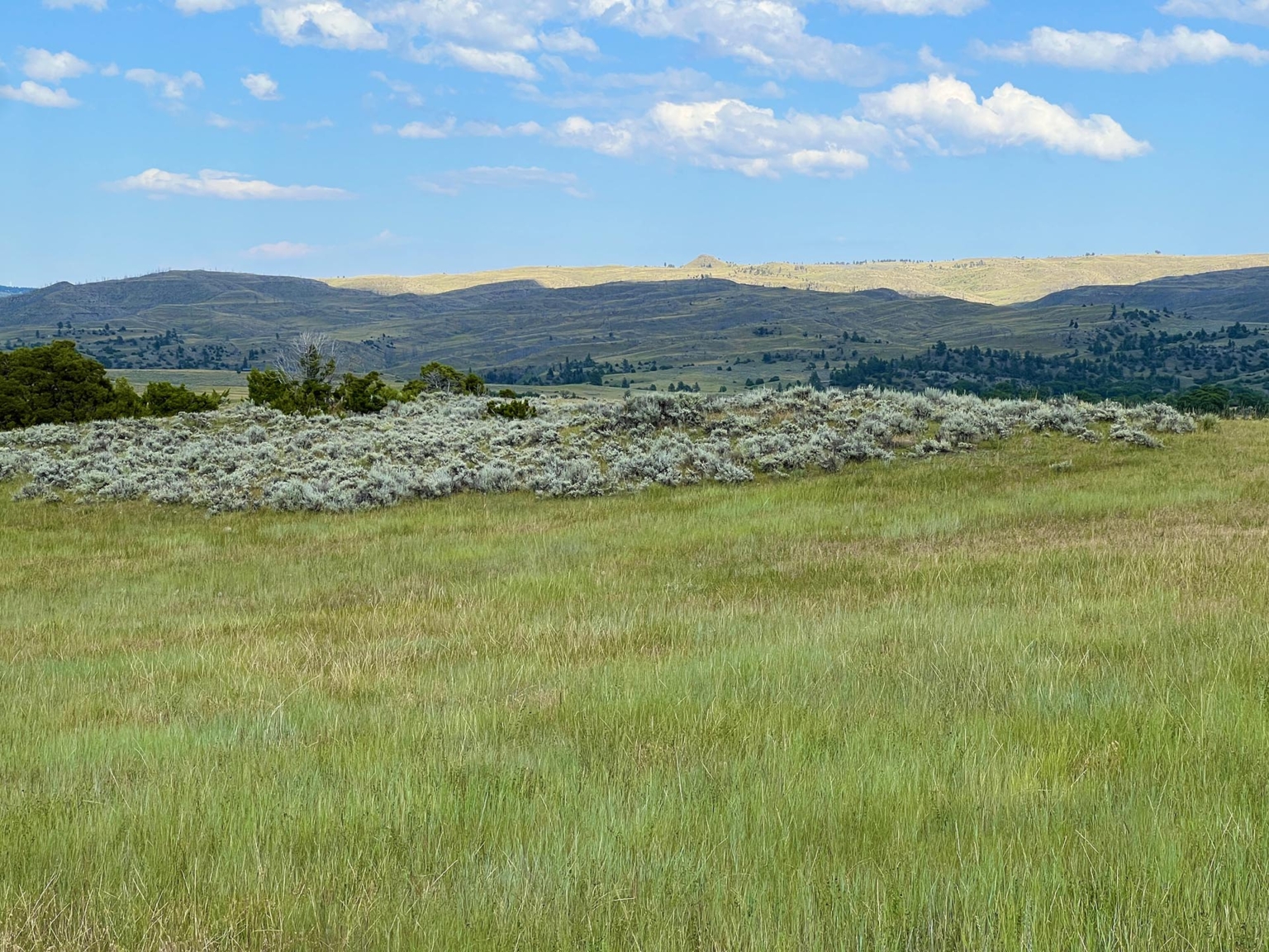 Sweet Grass Valley Ranch | Big Timber Montana | Fay Ranches