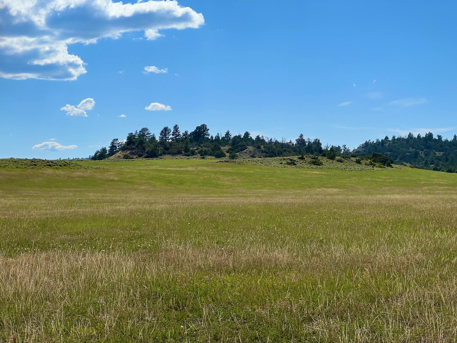 Sweet Grass Valley Ranch | Big Timber Montana | Fay Ranches