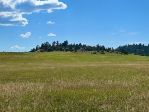 Sweet Grass Valley Ranch | Big Timber Montana | Fay Ranches