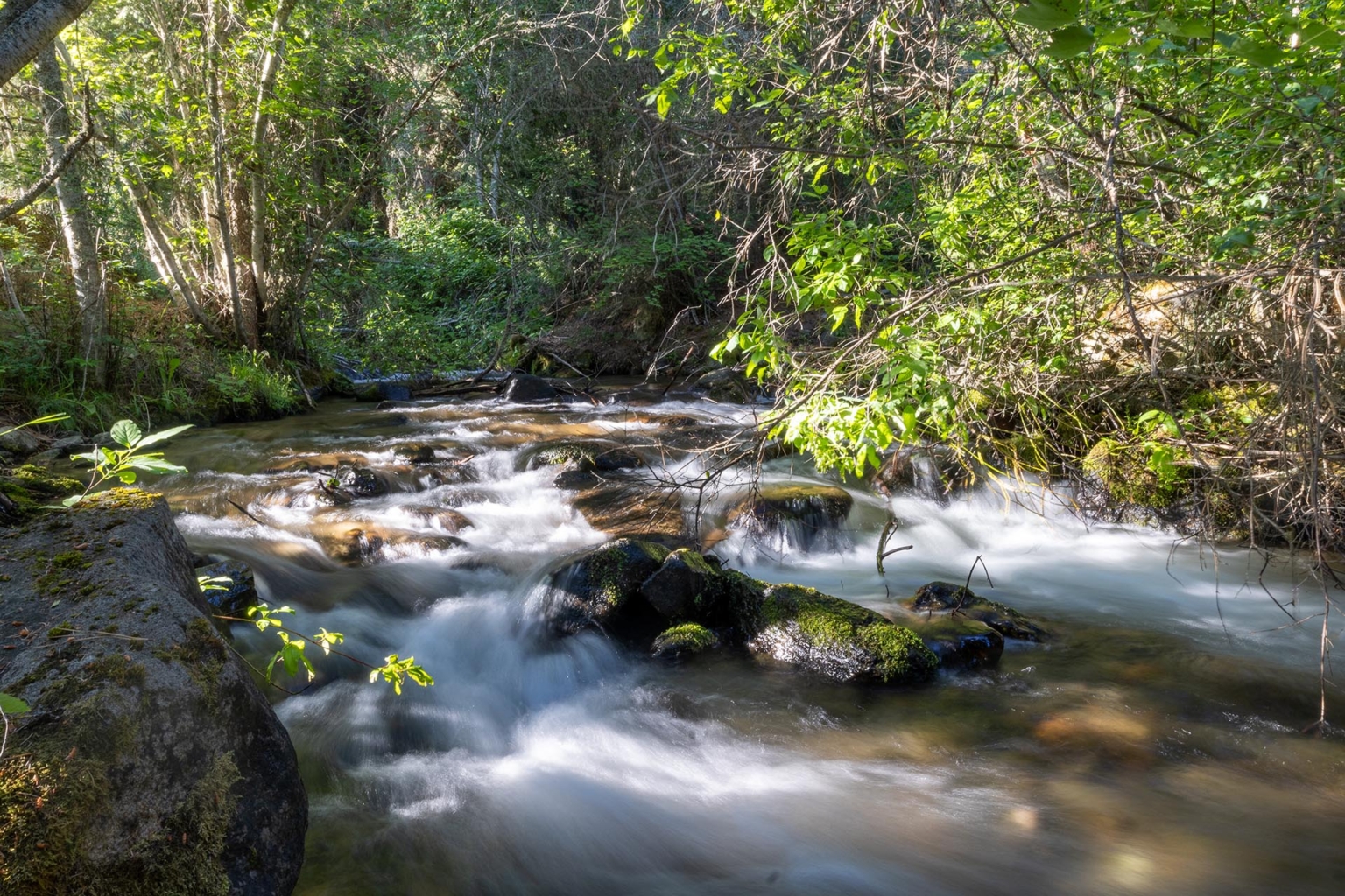 The Bitterroot Highlands at Willow Creek | Corvallis Montana | Fay Ranches