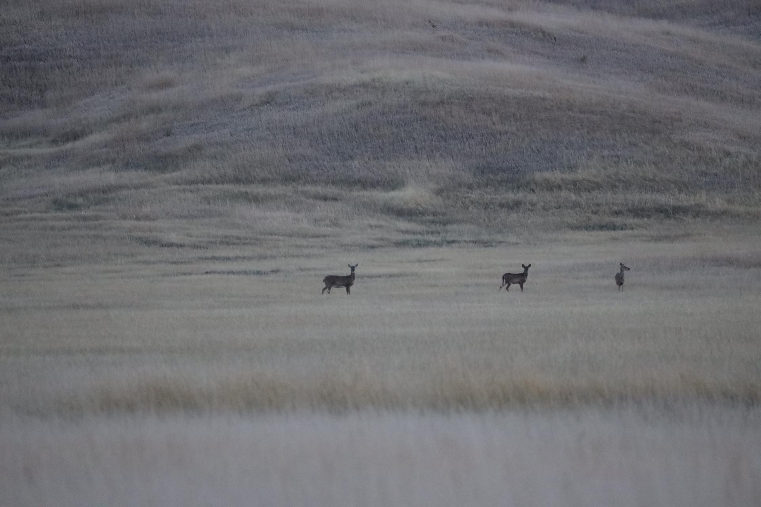 White River Hunting Retreat & Production Ground | Hamill South Dakota ...