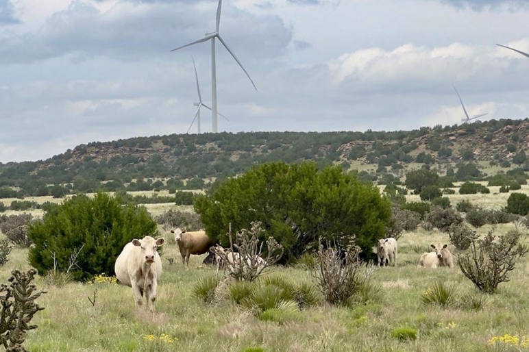 Robert Martin | New Mexico Colorado Ranch Broker | Fay Ranches