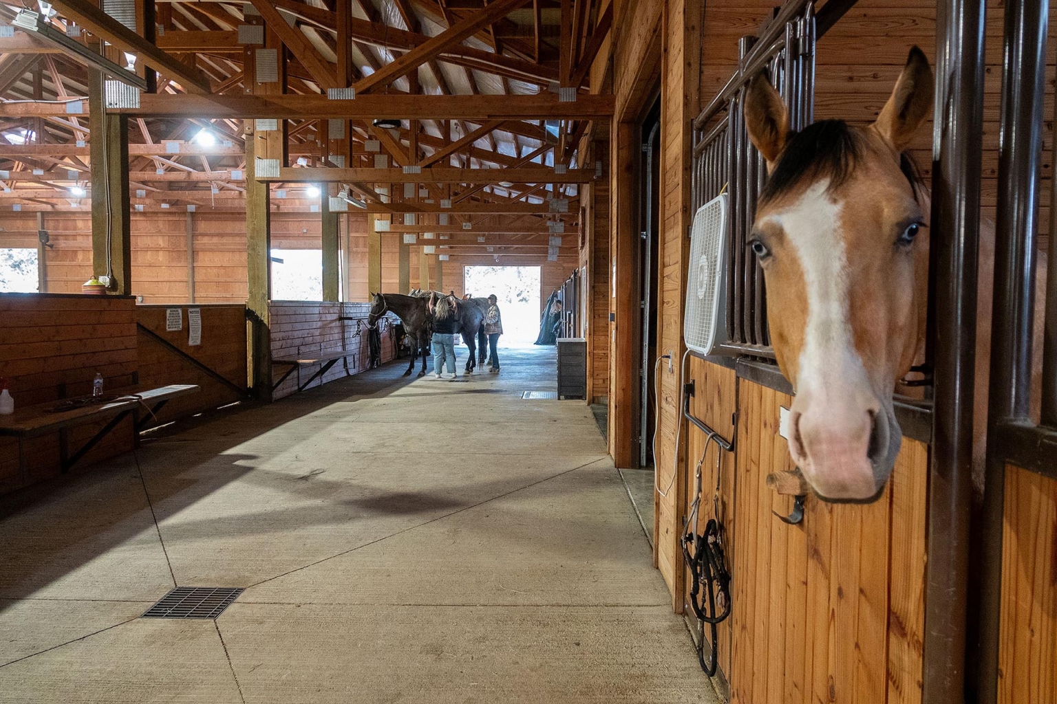 Horseman’s Dream of Central Oregon | Tumalo Oregon | Fay Ranches