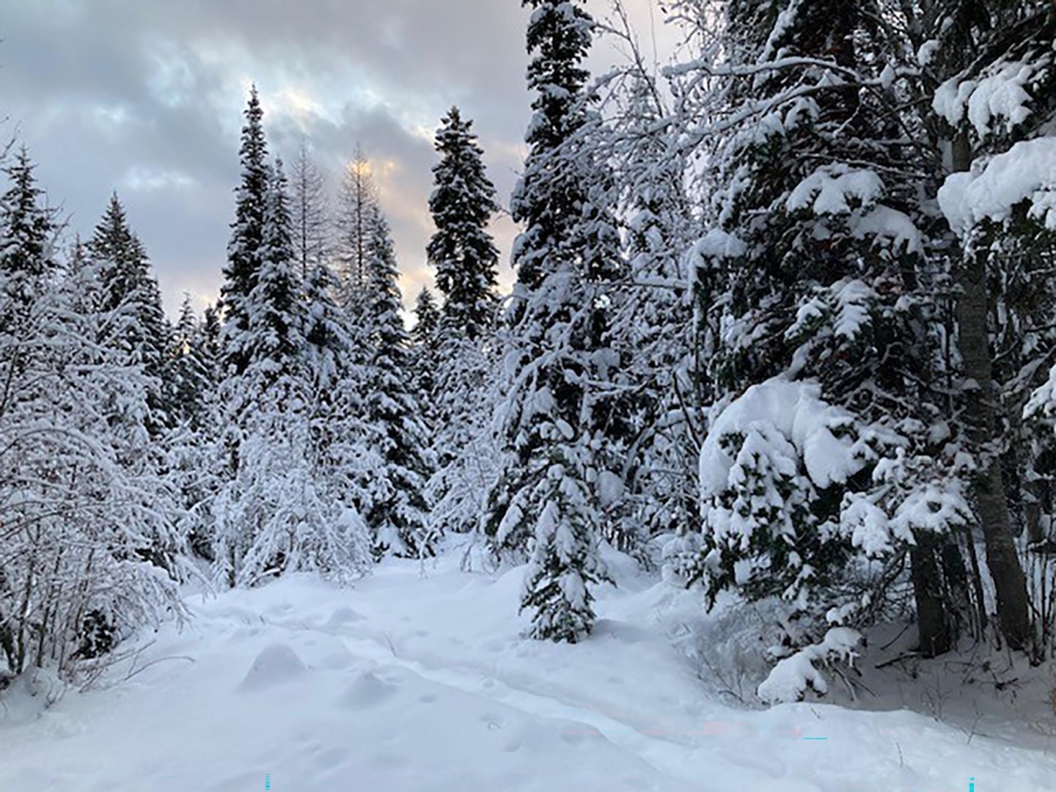 Ashley Lake Mountain Estate | Kila Montana | Fay Ranches