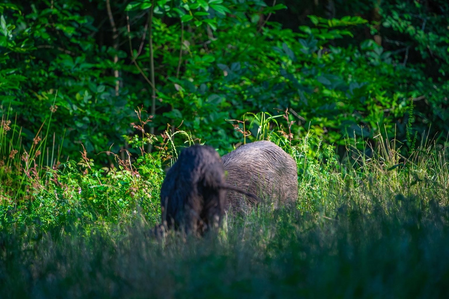 Double Angel Lodge | Lewisville Arkansas | Fay Ranches