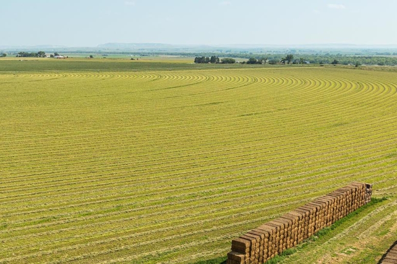 Nebraska Ranch Land Properties For Sale | Fay Ranches