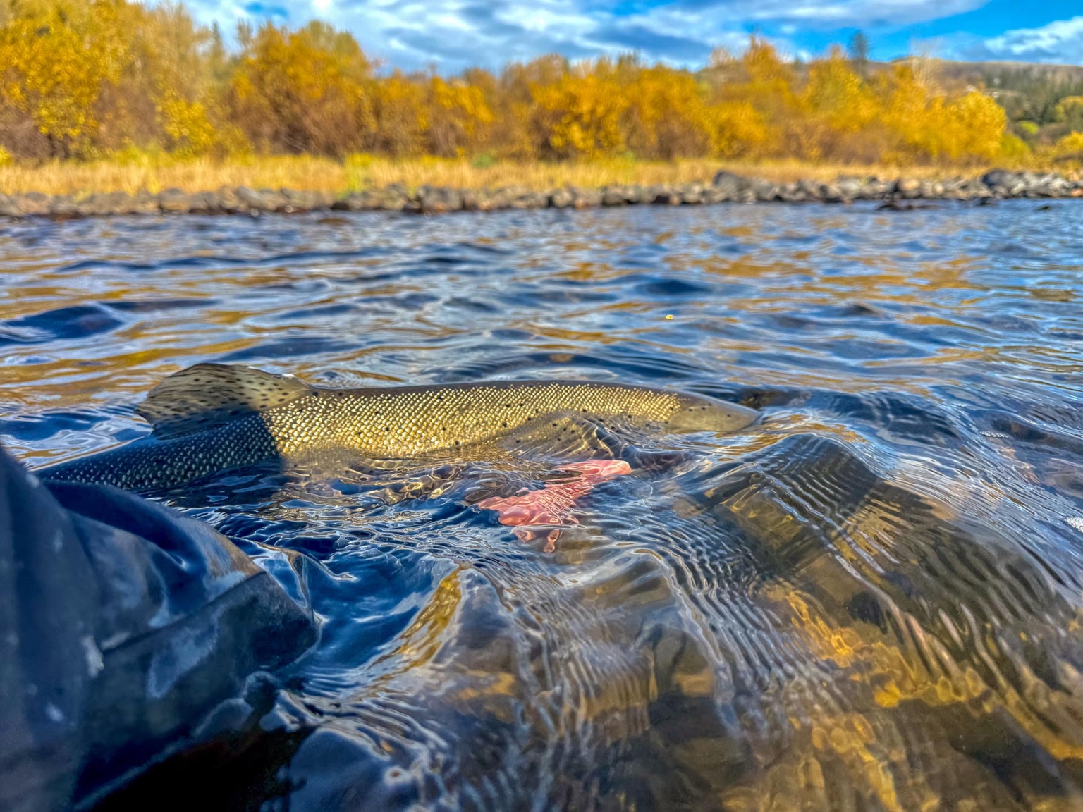 Piva Ranch | Challis Idaho | Fay Ranches