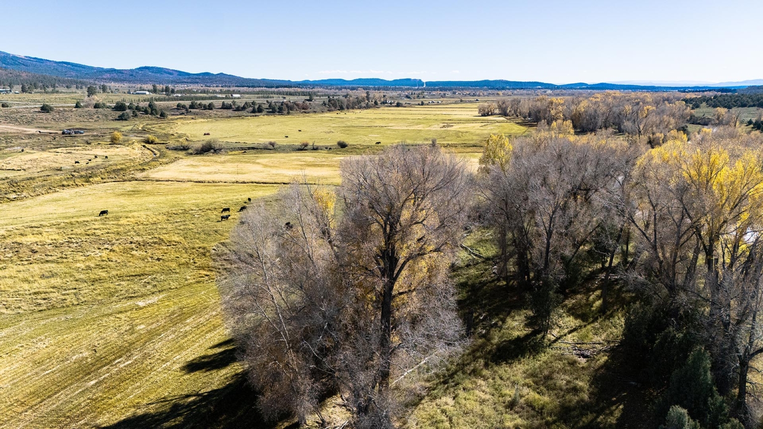 El Barranco Ranch on the Chama River | Tierra Amarilla New Mexico | Fay ...