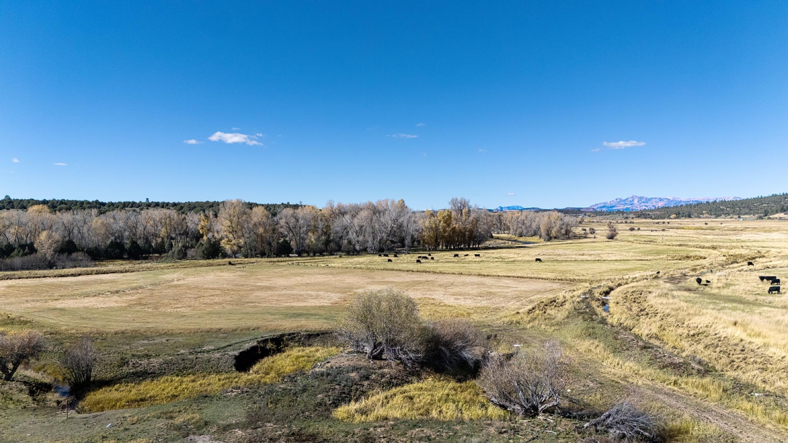 El Barranco Ranch on the Chama River | Tierra Amarilla New Mexico | Fay ...