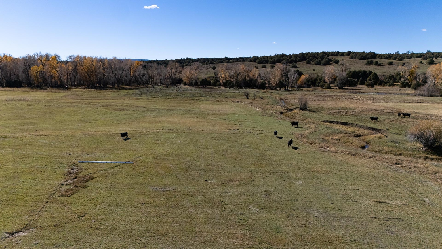El Barranco Ranch on the Chama River | Tierra Amarilla New Mexico | Fay ...
