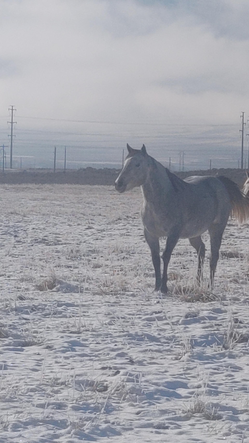 Flying H Ranch | Downey Idaho | Fay Ranches