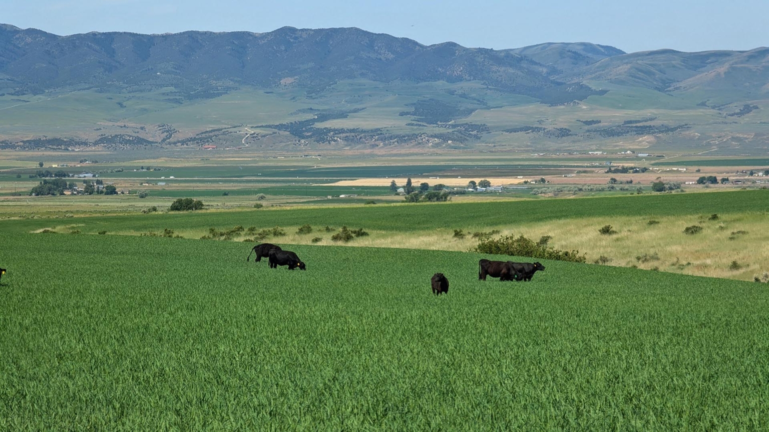 Flying H Ranch | Downey Idaho | Fay Ranches