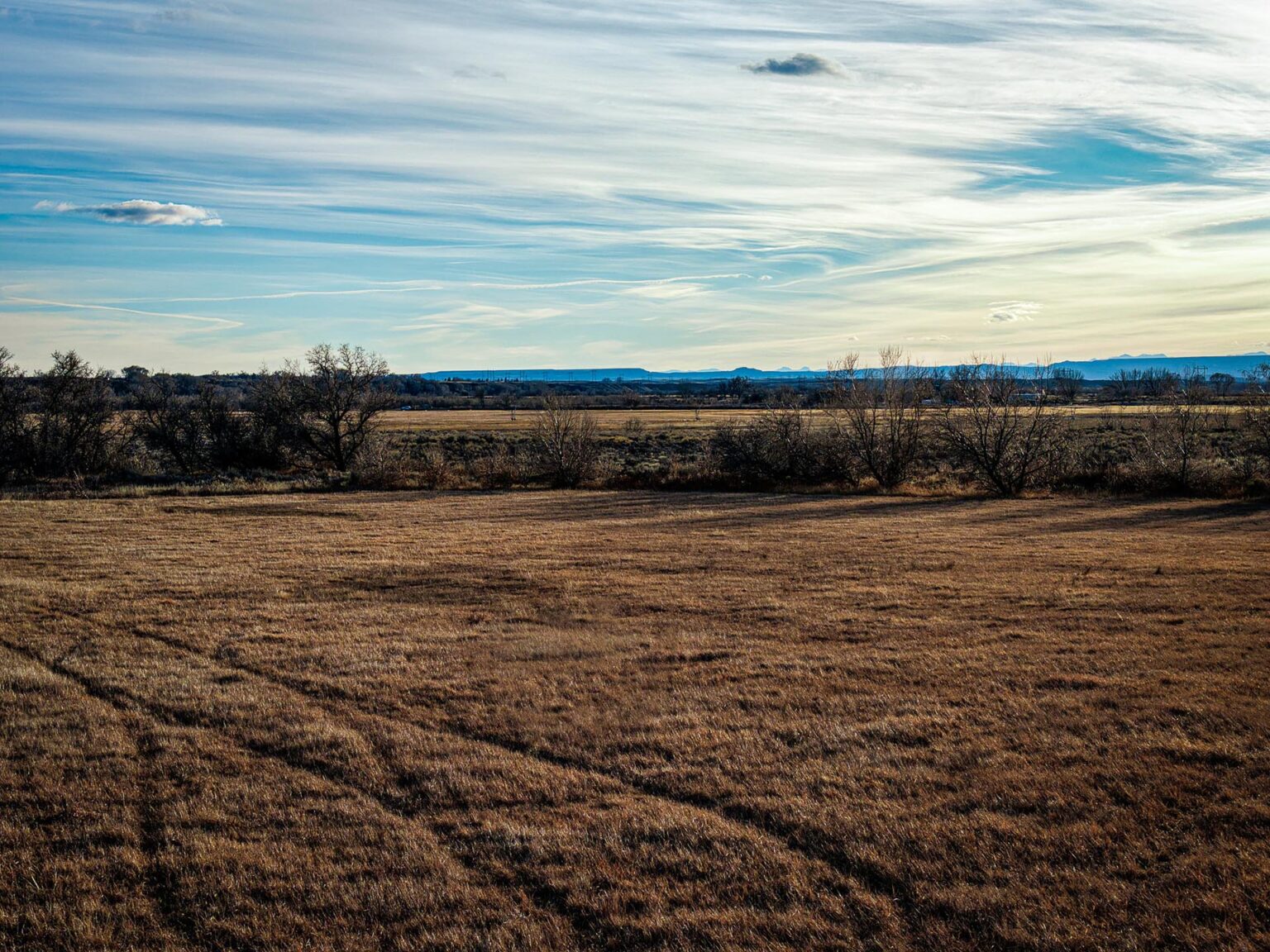 Shoshone Valley Versatility Land | Byron Wyoming | Fay Ranches