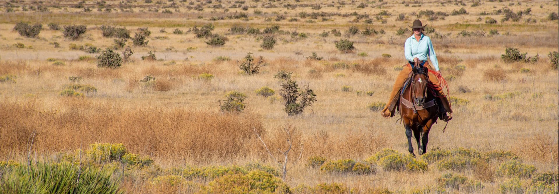 History | Fay Ranches