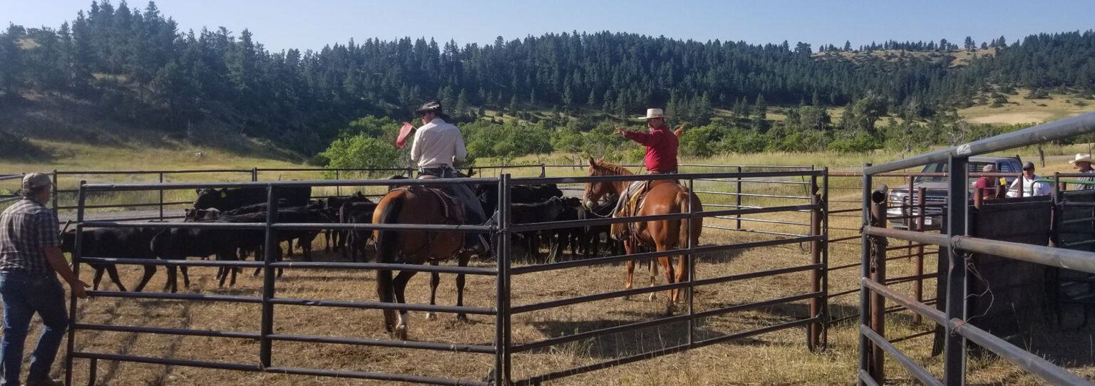 Brumfield Ridge Ranch | Reed Point Montana | Fay Ranches