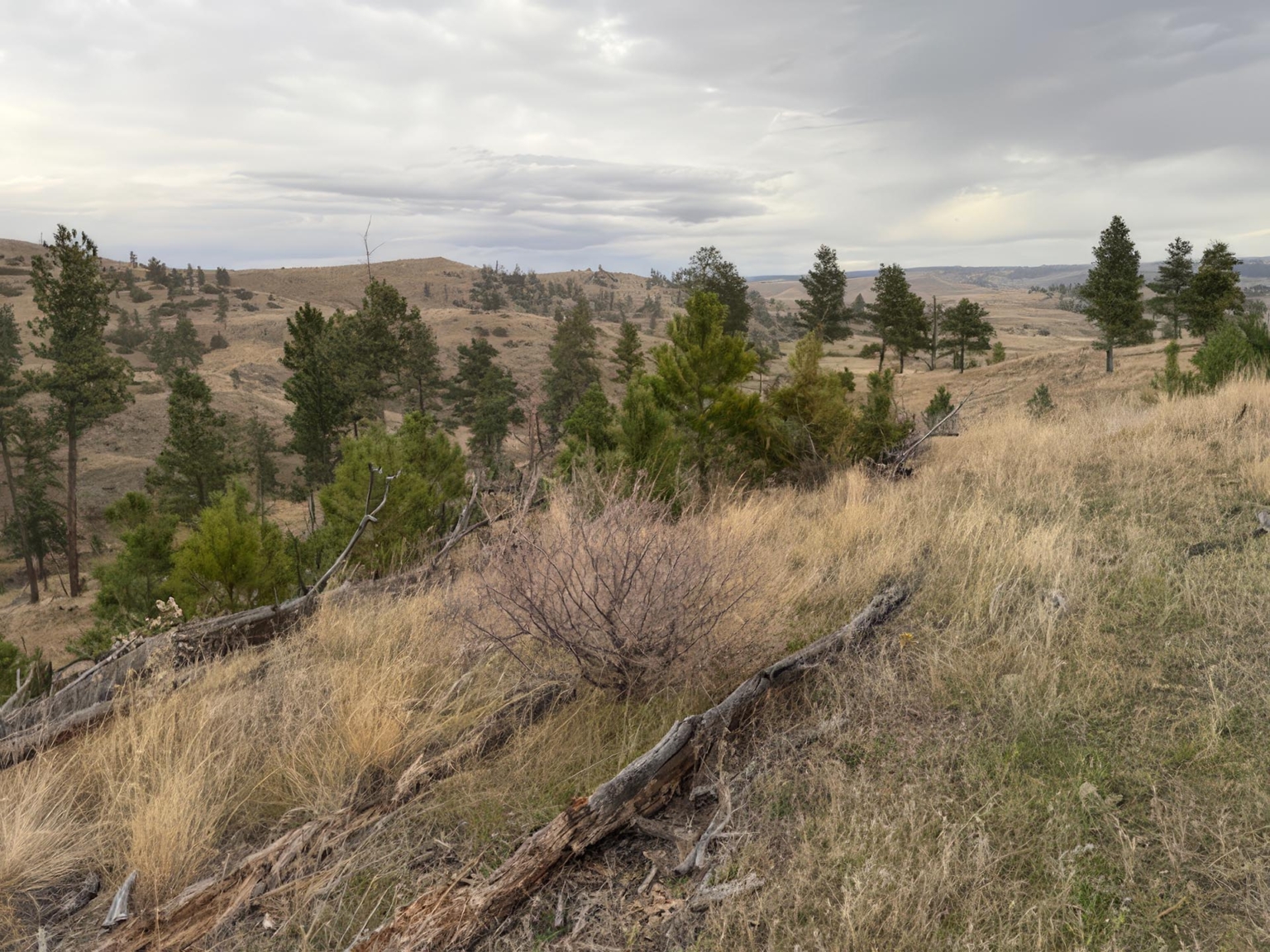 Brumfield Ridge Ranch | Reed Point Montana | Fay Ranches
