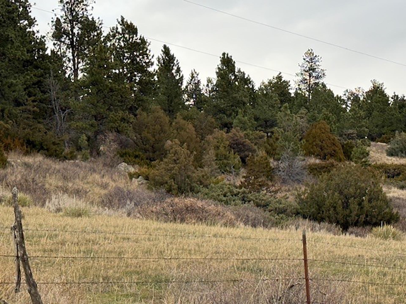 Brumfield Ridge Ranch | Reed Point Montana | Fay Ranches